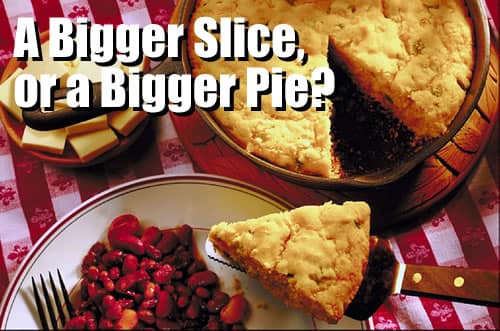 A Bigger Slice...or a Bigger Pie? - SYP Media, LLC